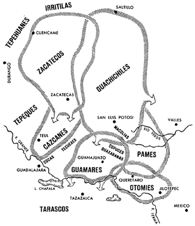 Perfil osteobiográfico de un entierro chichimeca: Mesa de Salsipuedes ...