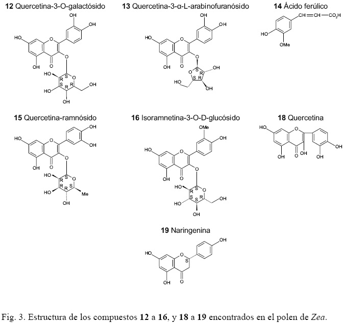 Los fenoles del polen del género Zea