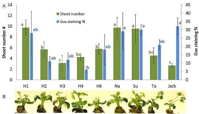 Phenotypic traits of Mexican soybean seeds and their correlation with ...