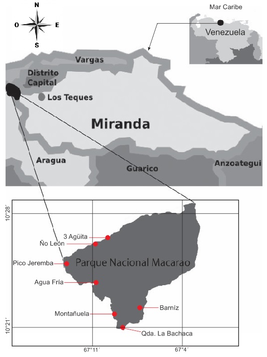 Briofitas del Parque Nacional Macarao, Venezuela