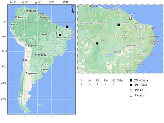 Genetical and physicochemical diversity among twelve Brazilian ...
