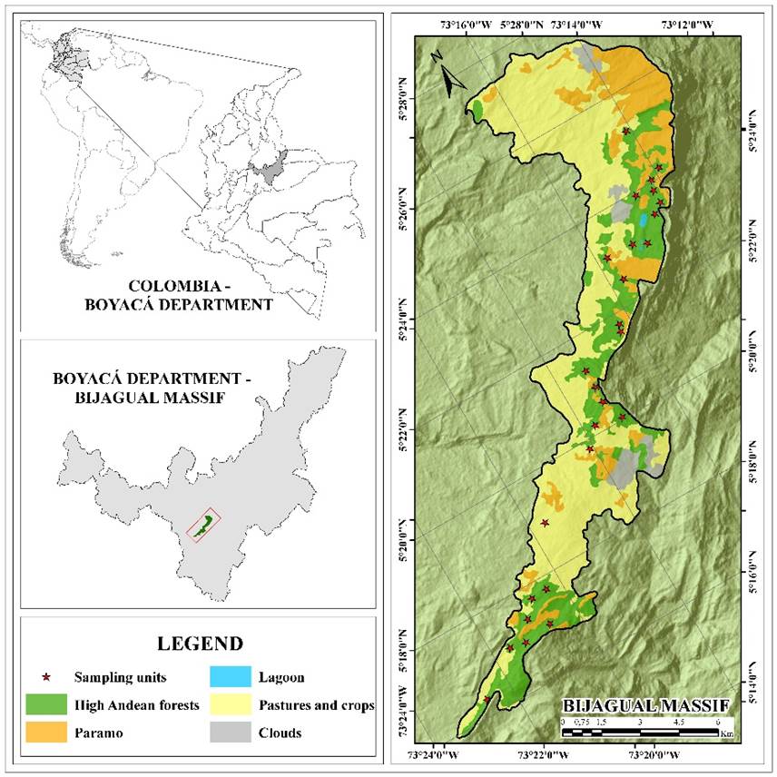 Species richness of the vascular plants of the Bijagual high Andean ...