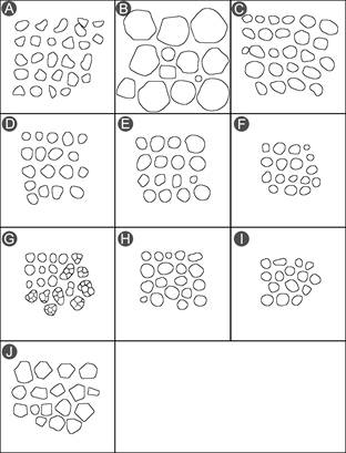 Endosperm starch grains of Andropogon, Arthraxon hispidus, and ...