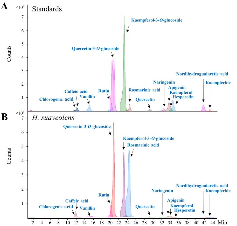 Antibacterial activity and phenolic profile of the methanolic extract ...