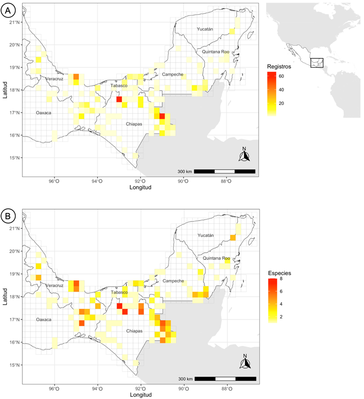 Listado de angiospermas epífitas que conforman jardines de hormigas de ...