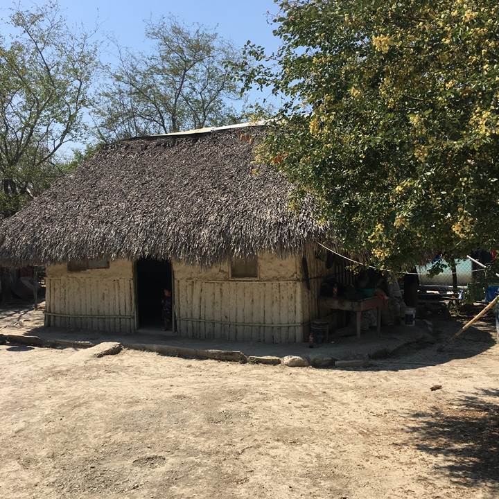 Servicios ecosistémicos de las especies nativas e introducidas de bambú ...