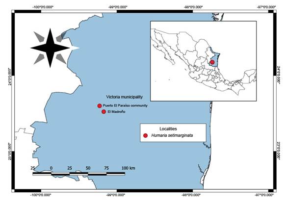 Humaria setimarginata (Pyronemataceae, Ascomycota), a new species from ...