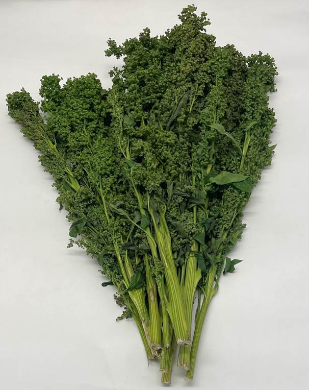 Propiedades antioxidantes y antiinflamatorias de huauzontle ...