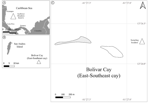 Notes on the marine algae of the International Biosphere Reserve ...