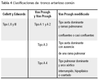Tronco común: Variantes anatómicas, tratamiento quirúrgico y evolución