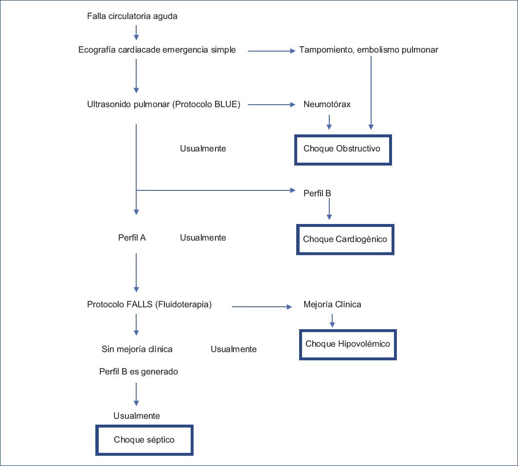 Protocolo ultrasonográfico enfocado en cirugía cardiaca posquirúrgica ...