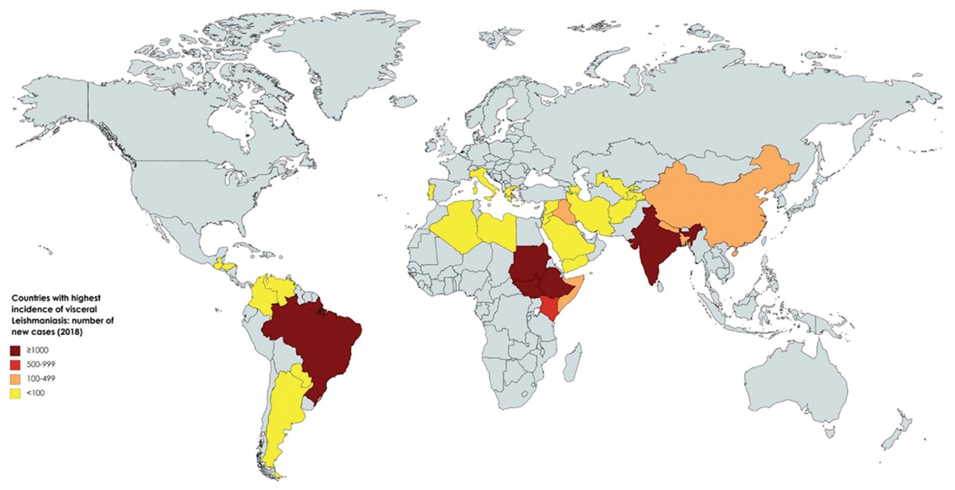 Leishmaniasis and Heart