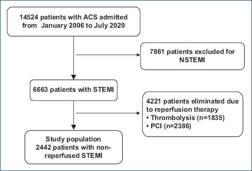 Non-reperfused ST-elevation myocardial infarction: notions from a low ...