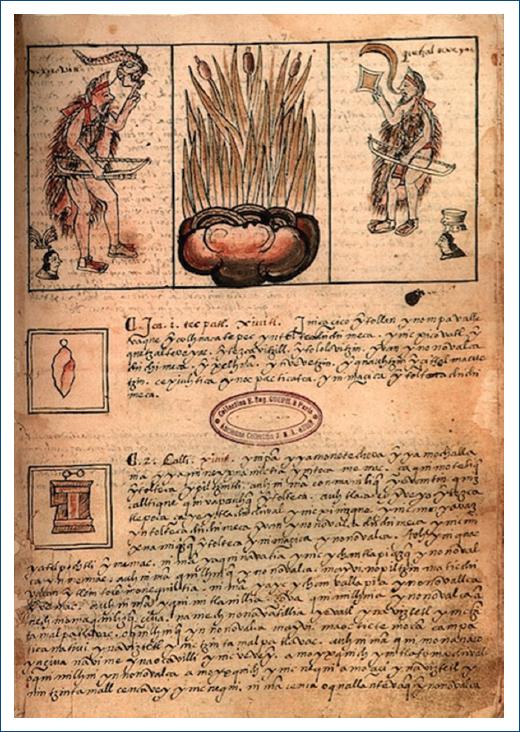 Libellus de Medicinalibus Indorum Herbis. Códice Martín de la Cruz-Juan ...