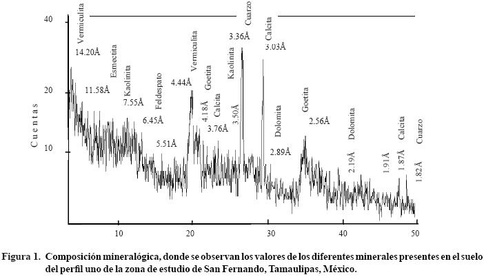 Identificación de Vertisoles de origen sedimentario a través de su ...