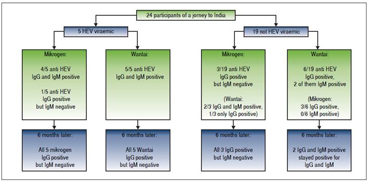 High Clinical Manifestation Rate in an Imported Outbreak of Hepatitis E ...