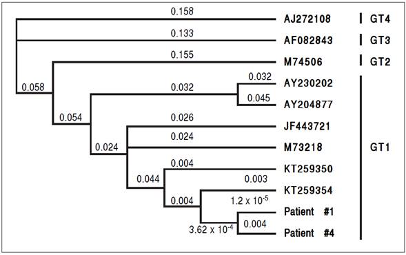 High Clinical Manifestation Rate in an Imported Outbreak of Hepatitis E ...