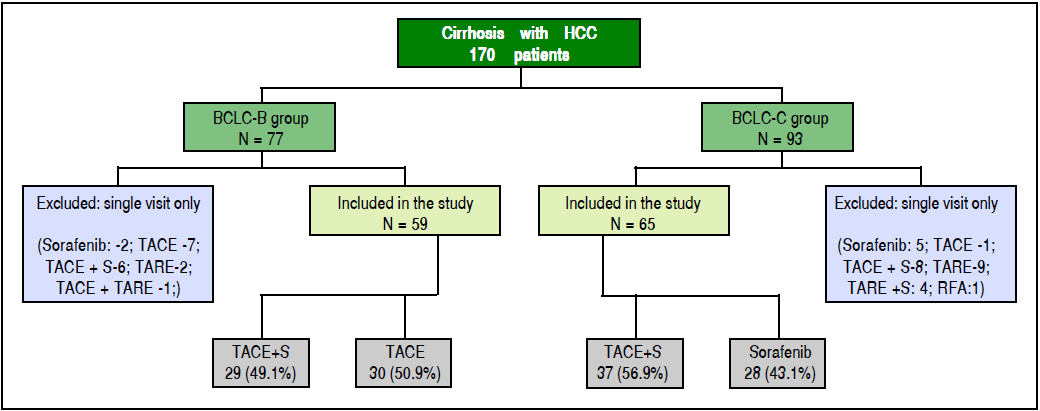 Combination of TACE and Sorafenib Improves Outcomes in BCLC Stages B/C ...