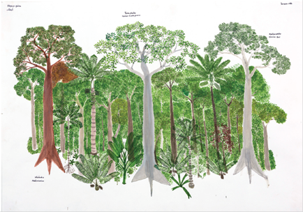 Cosmovisión nonuya e imagen poscolonial en el arte colombiano: una ...
