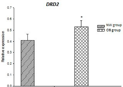 Food Craving in Obese Subjects: Its Correlation with Atherogenic Index ...