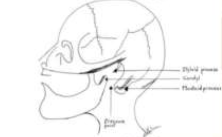 Laringoespasmo vieja complicación: nuevos tratamientos