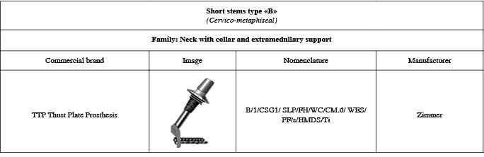A proposal for the study of cementless short-stem hip prostheses