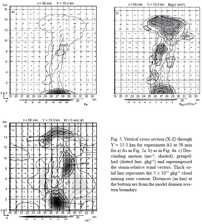 Sensitivity of main downdraft features to vertical wind shear and ice ...
