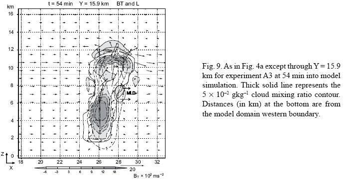 Sensitivity of main downdraft features to vertical wind shear and ice ...