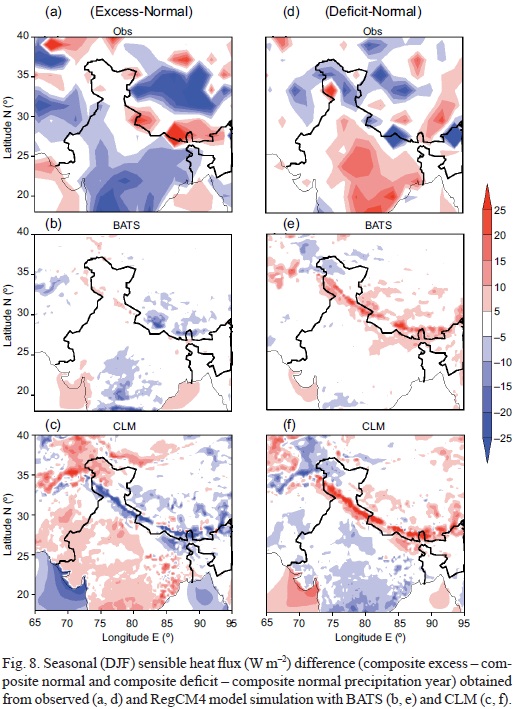 The role of land surface schemes in the regional climate model (RegCM ...