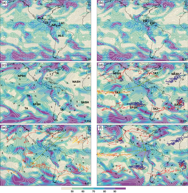 Connections in the development of tropical cyclone Mitch (1998): A ...