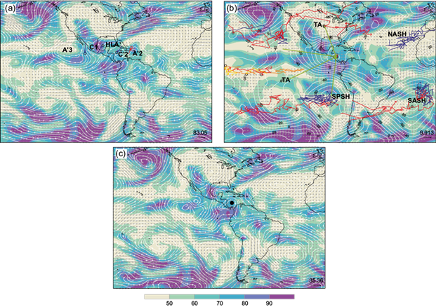 Connections in the development of tropical cyclone Mitch (1998): A ...