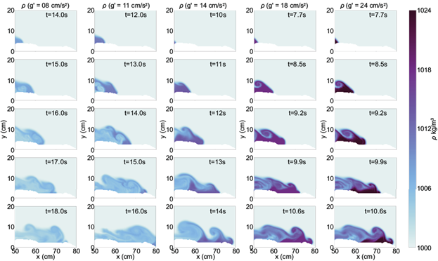 Experimental downslope gravity currents over a synthetic topography