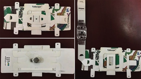 Evaluación de Foldscope, un microscopio de papel basado en origami útil ...