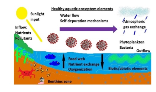 Bioindicators and biomonitoring: Review of methodologies applied in ...