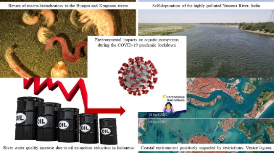 Bioindicators and biomonitoring: Review of methodologies applied in ...