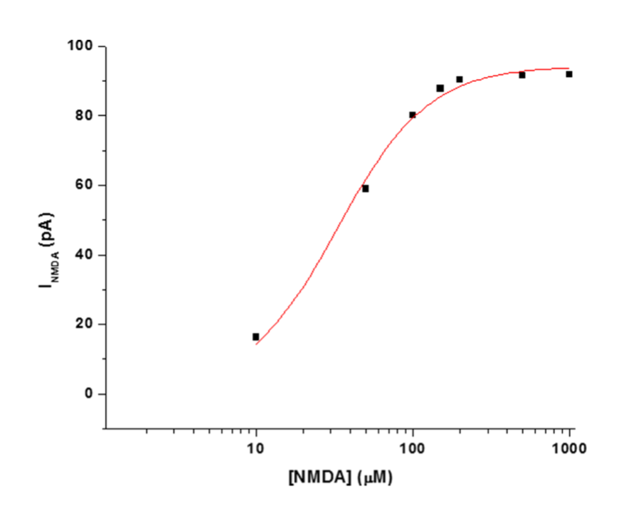 Lab-NMDAR: simuladores de la electrofisiología básica del receptor NMDA
