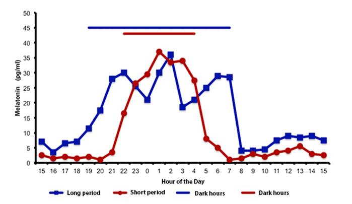 Mare Reproductive Cycle: A Review
