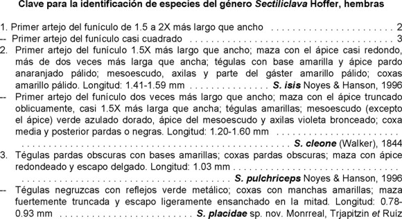Descripción de Sectiliclava placidae sp. nov. (Hymenoptera: Encyrtidae ...