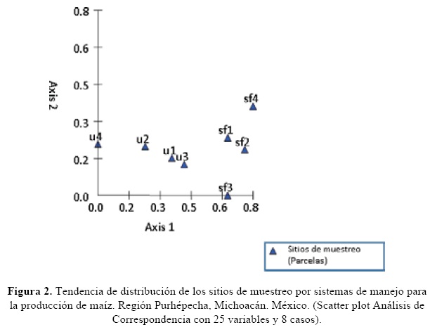 Factores que influyen en la abundancia de larvas de Coleoptera ...