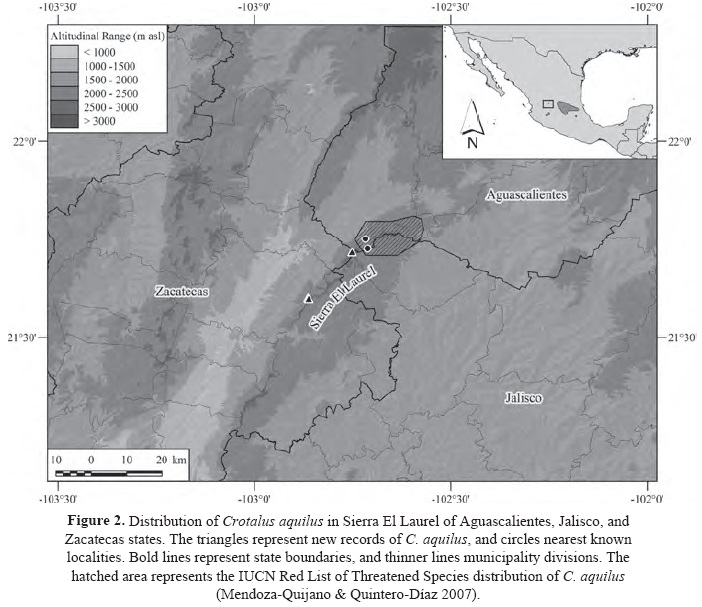 Crotalus Aquilus Klauber, 1952 (Squamata: Viperidae), a new state ...