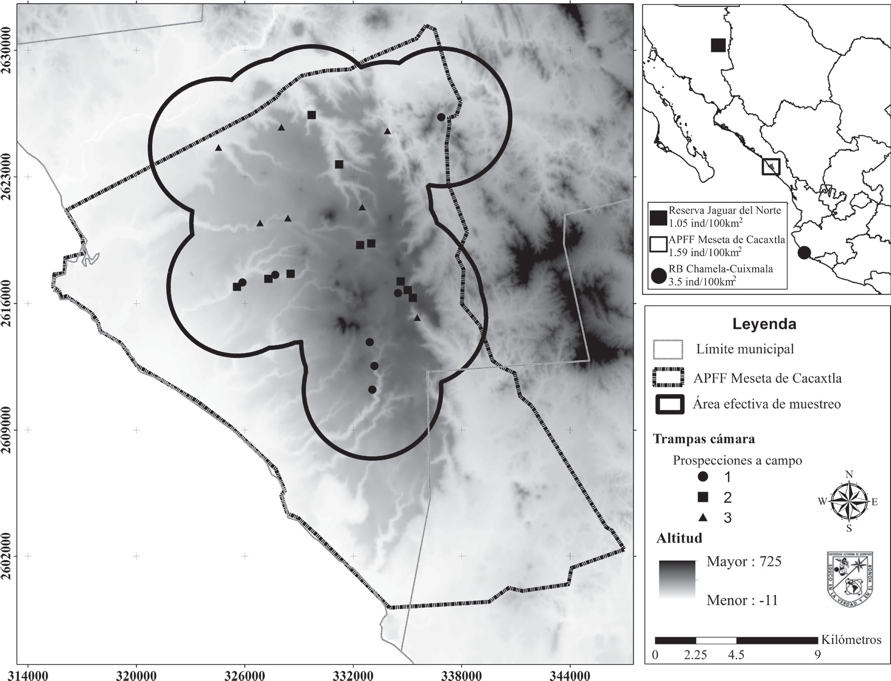 Abundancia y densidad de jaguar (Panthera onca) en el APFF Meseta de ...
