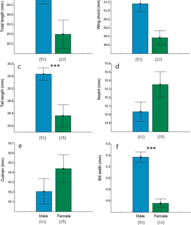 Morphological dimorphism varies across the endemic Xantus’ hummingbird ...