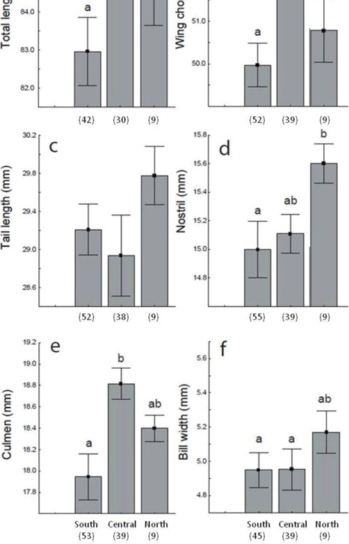 Morphological dimorphism varies across the endemic Xantus’ hummingbird ...