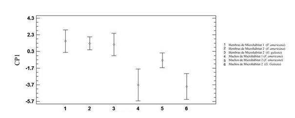 Variación intraespecífica en la probóscide de Polymorphus trochus ...