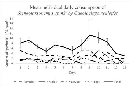 Natural enemies of Steneotarsonemus spinki (Acari: Tarsonemidae) in ...