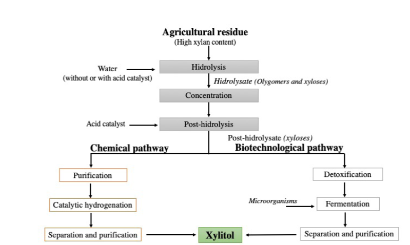 Biotechnological production of xylitol from agricultural waste