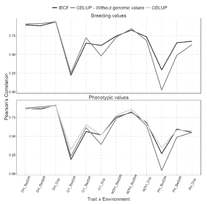 Benchmarking between item based collaborative filtering algorithm and ...