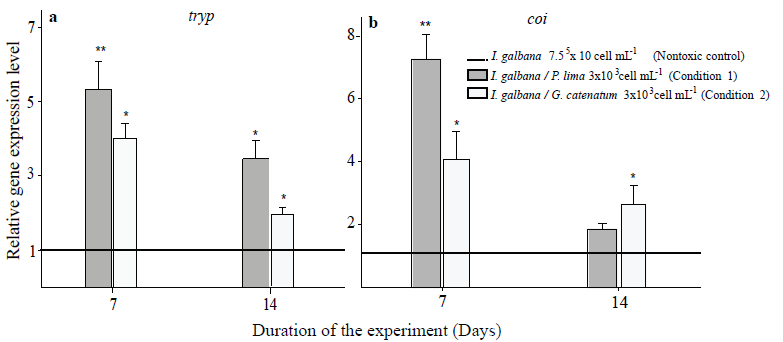 Validation of suitable reference genes for quantitative real-time PCR ...
