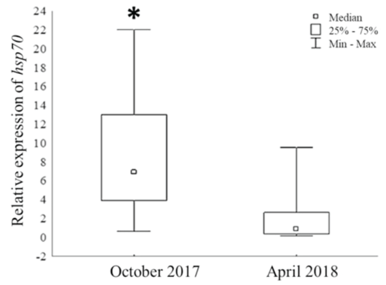 Diurnal and seasonal hsp70 gene expression in a cryptic reef fish, the ...
