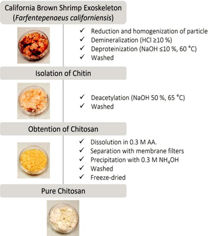 Physicochemical study of chitin and chitosan obtained from California ...